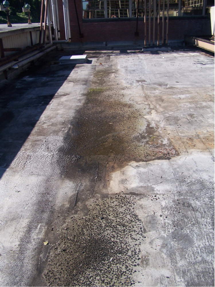 Stop Leaks With Roof Coating Systems - Energy Seal Coatings